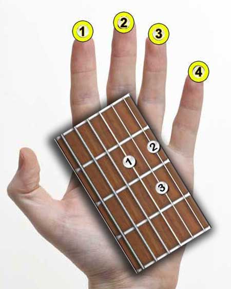 How To Read Music For Guitar Chords Scales Staff Strumming
